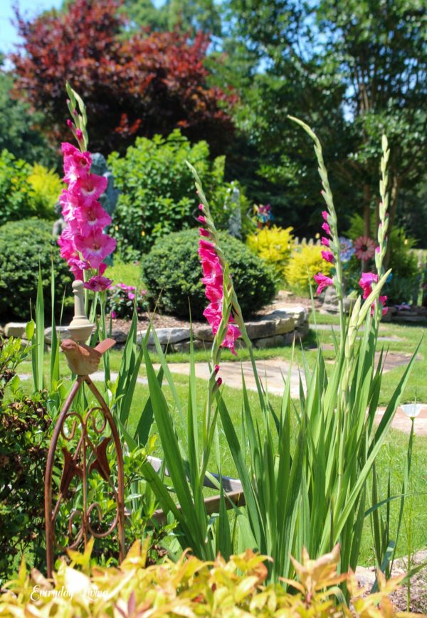 Late June Garden