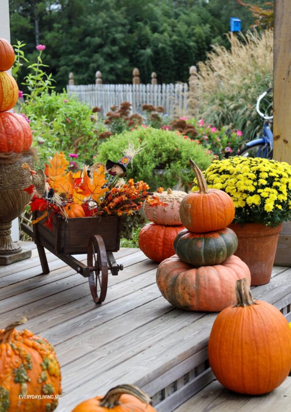 Fall Returns To The Sunshine Cottage Porch