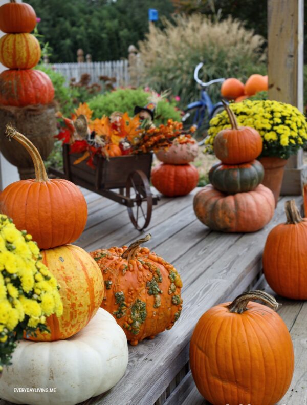 Fall Returns To The Sunshine Cottage Porch